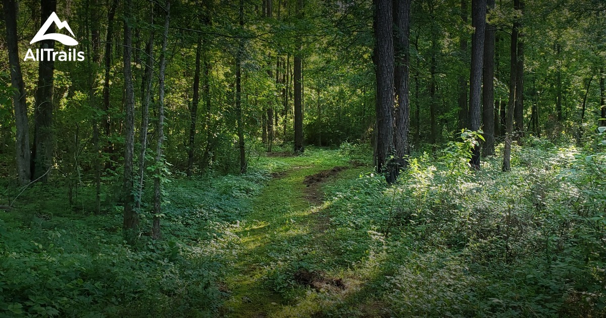 Best hikes and trails in Long Cane Recreation Park | AllTrails