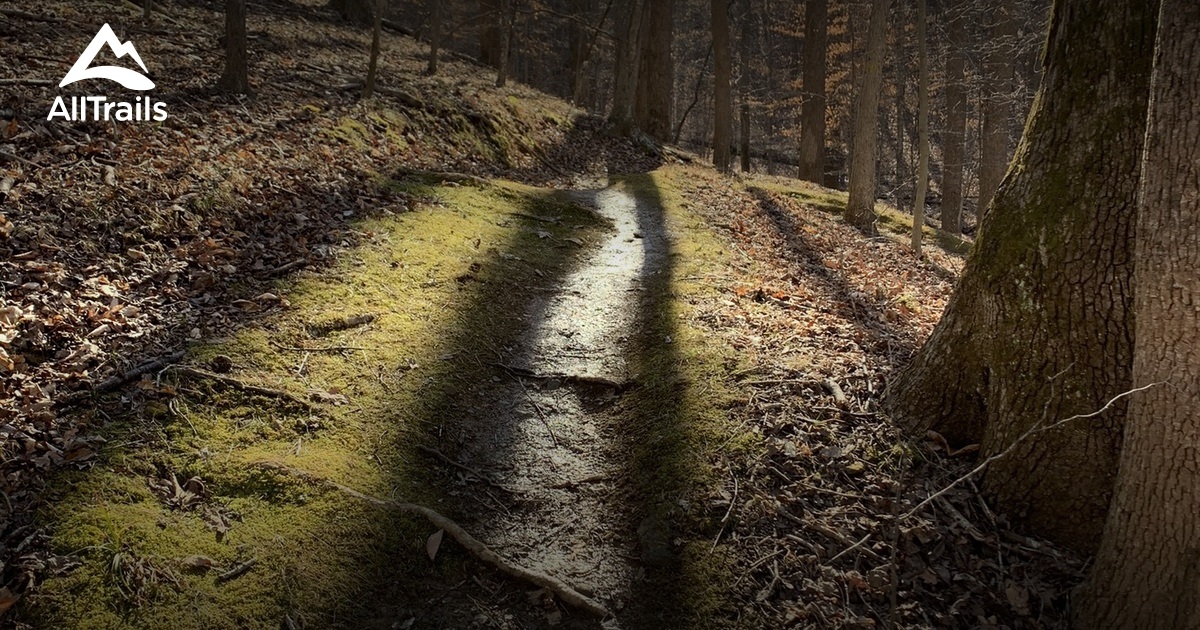 Explore Park: Die besten Routen zum Wandern | AllTrails