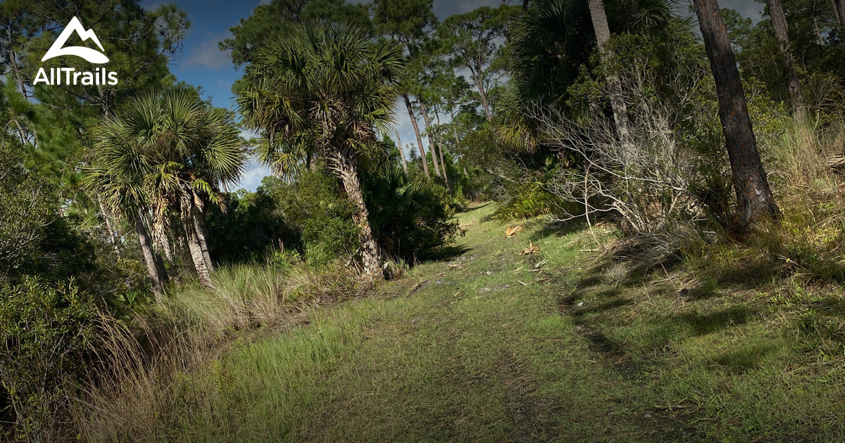 Best walking trails in Tippecanoe Environmental Park | AllTrails