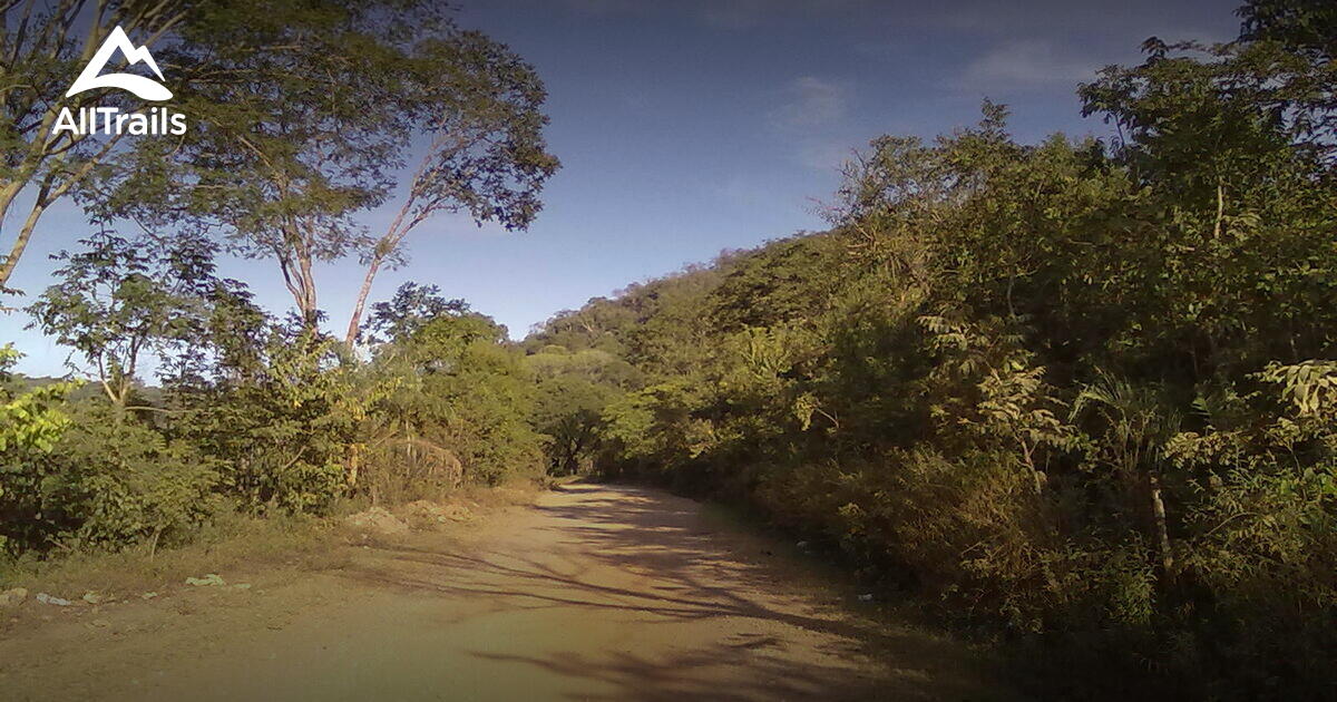 Best hikes and trails in Lapa Grande State Park | AllTrails