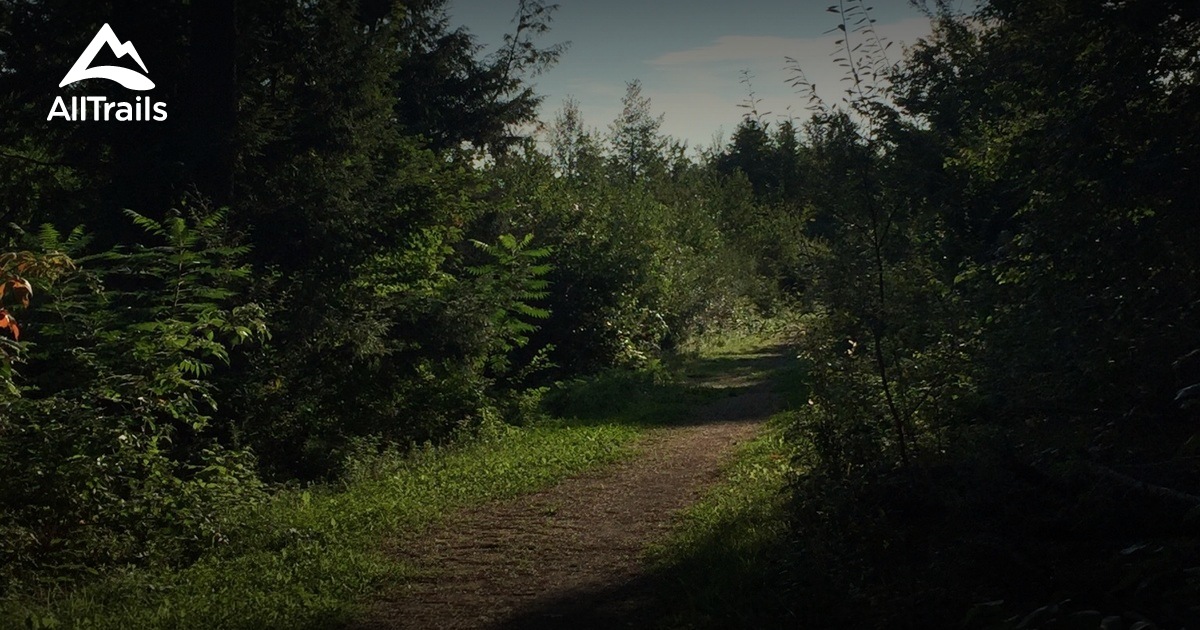 Best hikes and trails in Claire Drew Park | AllTrails