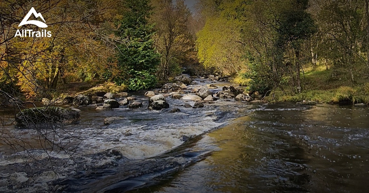 Best Hikes and Trails in Ballard Woods | AllTrails