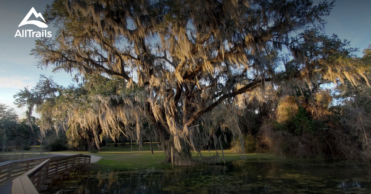 Los mejores senderos y rutas en Pedrick Pond Park | AllTrails