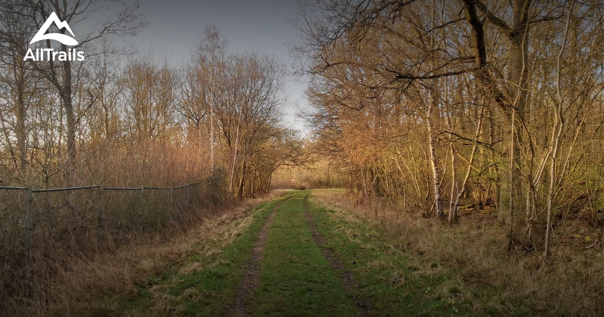Best hikes and trails in Finmere Wood | AllTrails