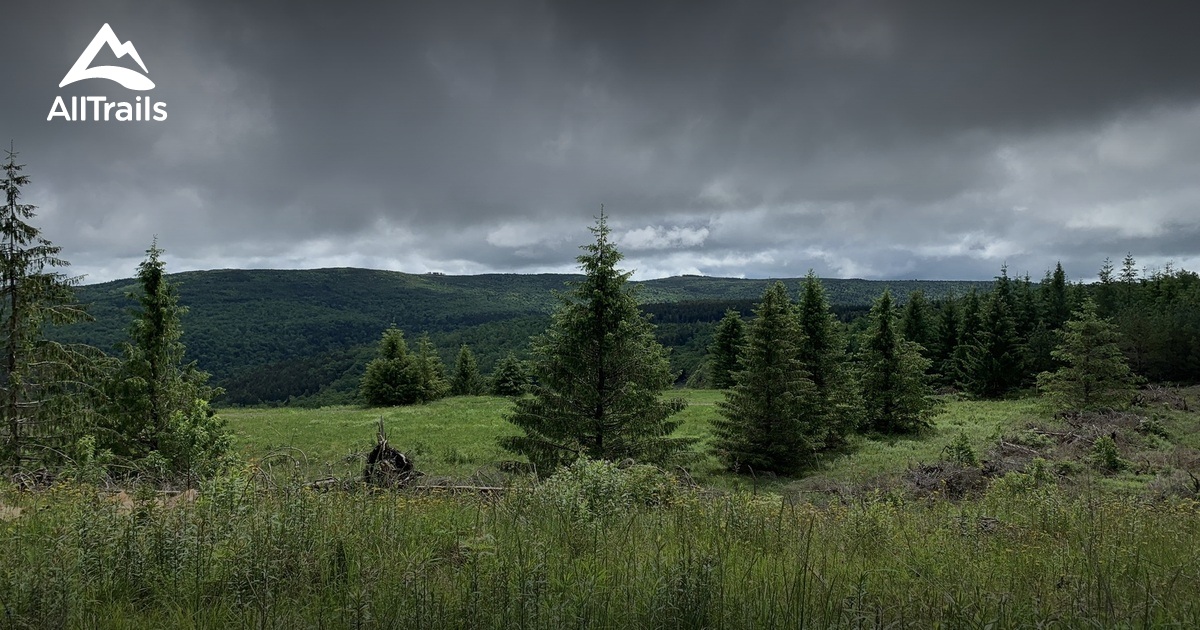 I migliori sentieri panoramici in Mower Basin Trails | AllTrails