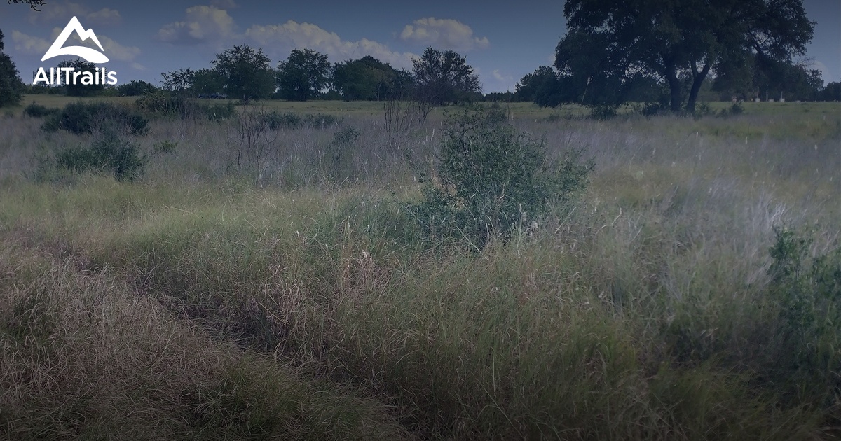 Best hikes and trails in Muleshoe Bend Recreation Area | AllTrails