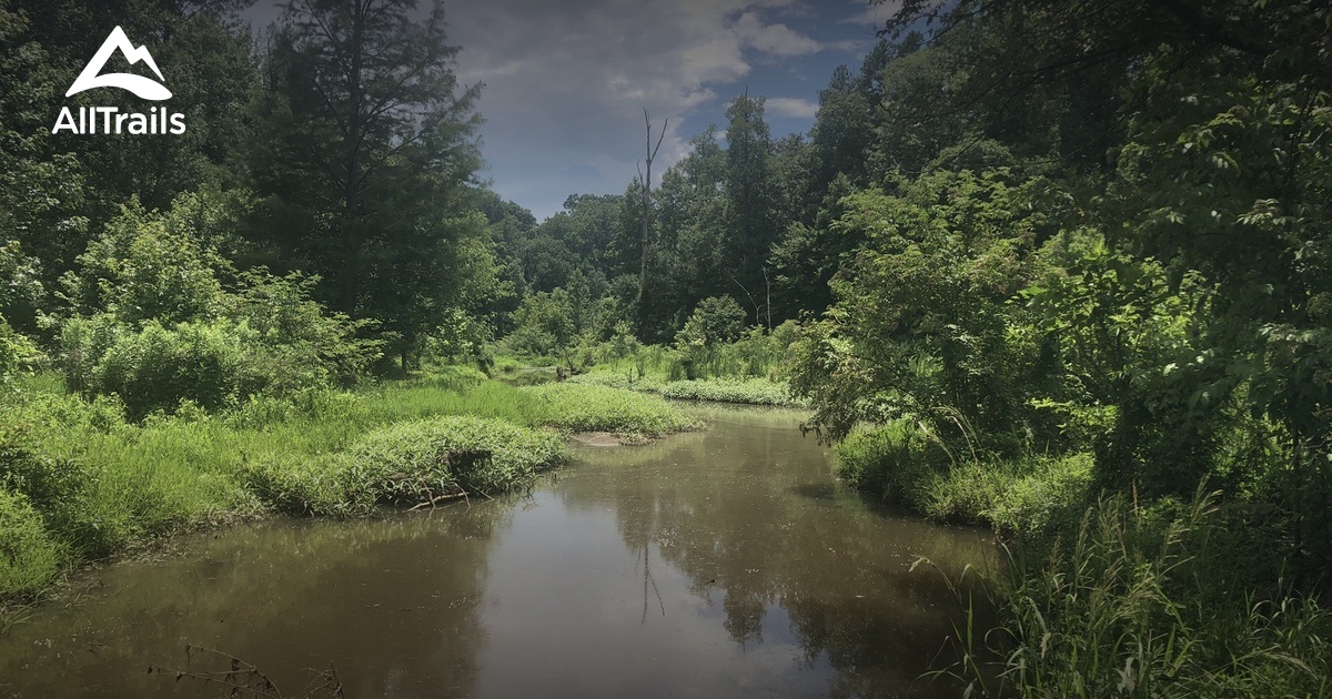 Best hikes and trails in Newman Wetlands Center | AllTrails