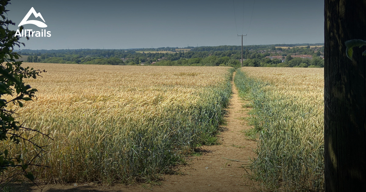 Best hikes and trails in Redbourn Common | AllTrails