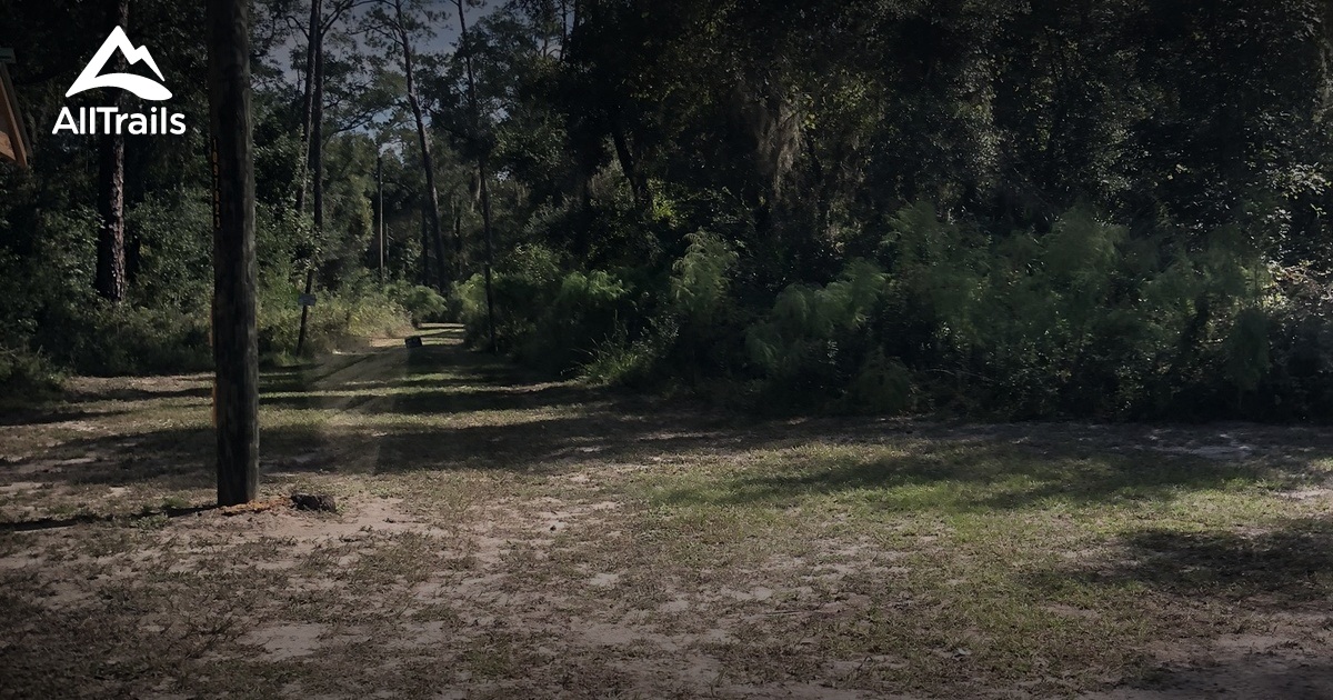 Best hikes and trails in Guale Preserve | AllTrails