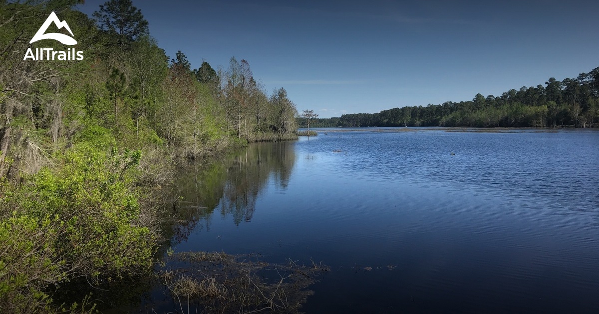 Best hikes and trails in Laura S Walker State Park | AllTrails