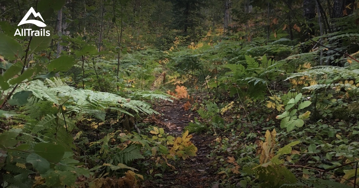 Best hikes and trails in MacLeod Provincial Park | AllTrails