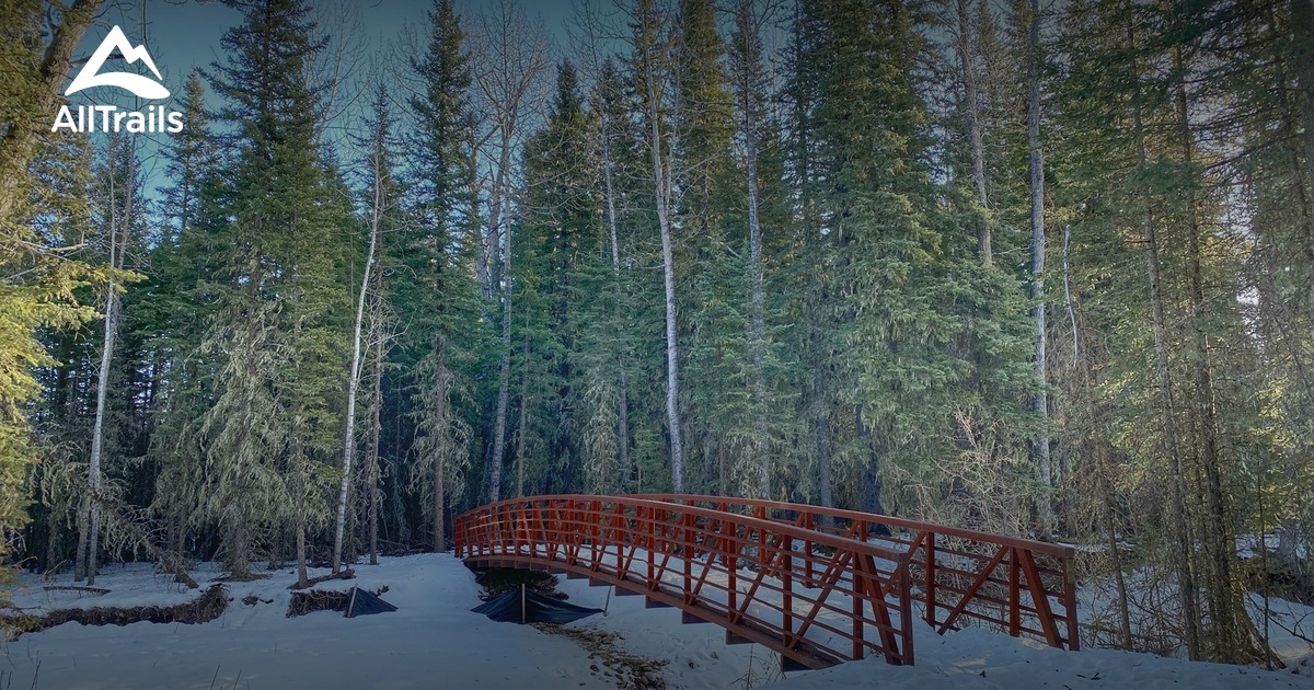 Best forest trails in Jumpingpound Demonstration Provincial Land ...