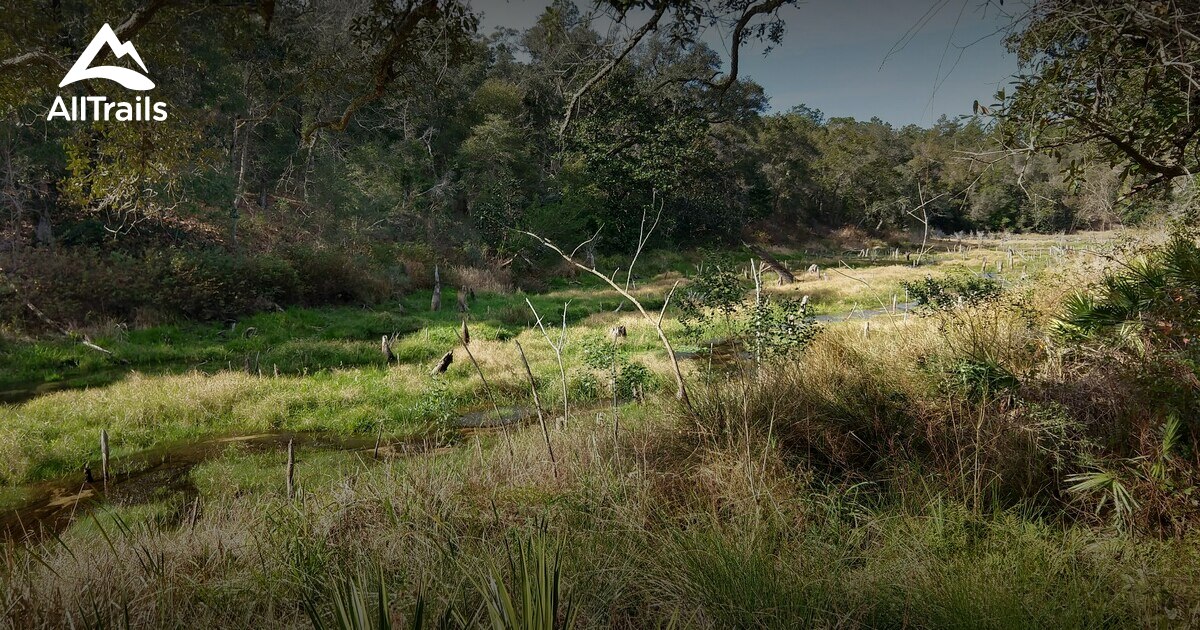 Best hikes and trails in Timberlake Recreation Area | AllTrails