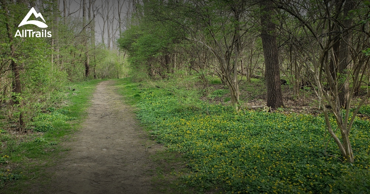 Best hikes and trails in George Lorimer Preserve | AllTrails