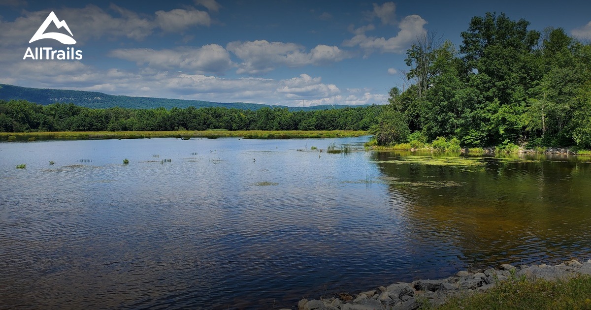 Best hikes and trails in Minsi Lake Wilderness Area | AllTrails