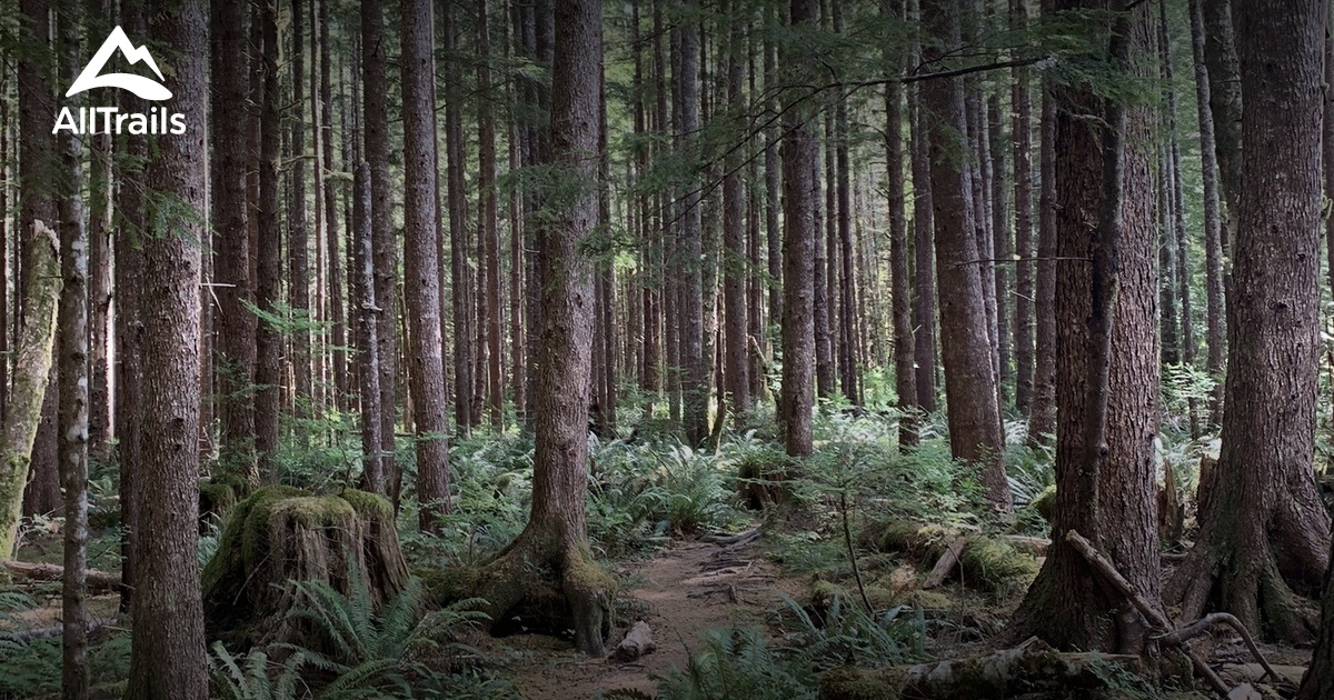 Best hikes and trails in Canoe Creek Recreation Site | AllTrails