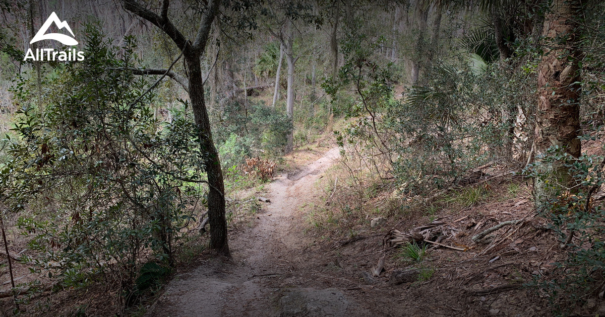 Best hikes and trails in Graham Swamp Conservation Area | AllTrails