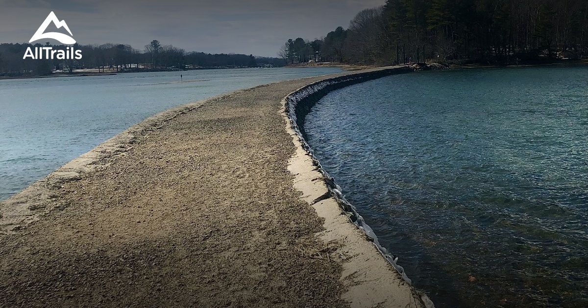 Best hikes and trails in Steedman Woods | AllTrails