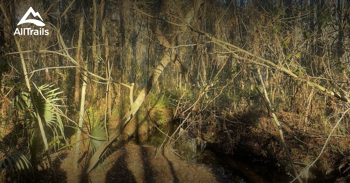Best hikes and trails in Bulls Bay Preserve | AllTrails
