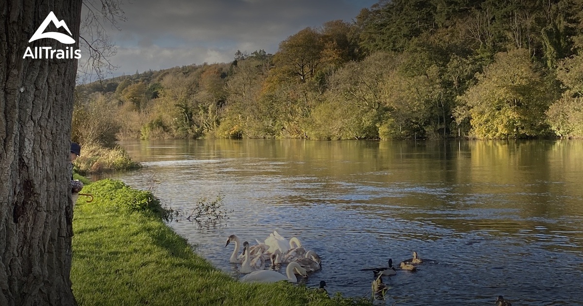 Best hikes and trails in Fitzgerald's Park | AllTrails