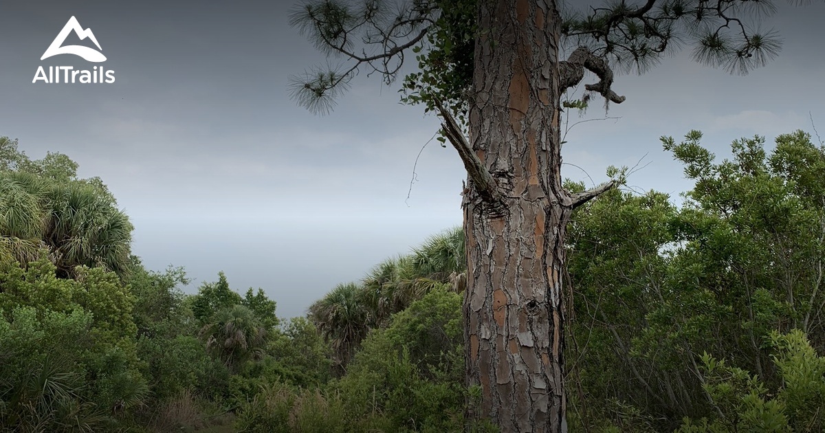 Best hikes and trails in Lemon Bay Preserve | AllTrails