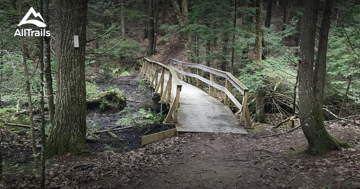 Best hikes and trails in Rines Forest | AllTrails