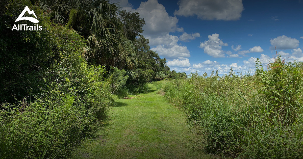 Best hikes and trails in Gemini Springs Park | AllTrails
