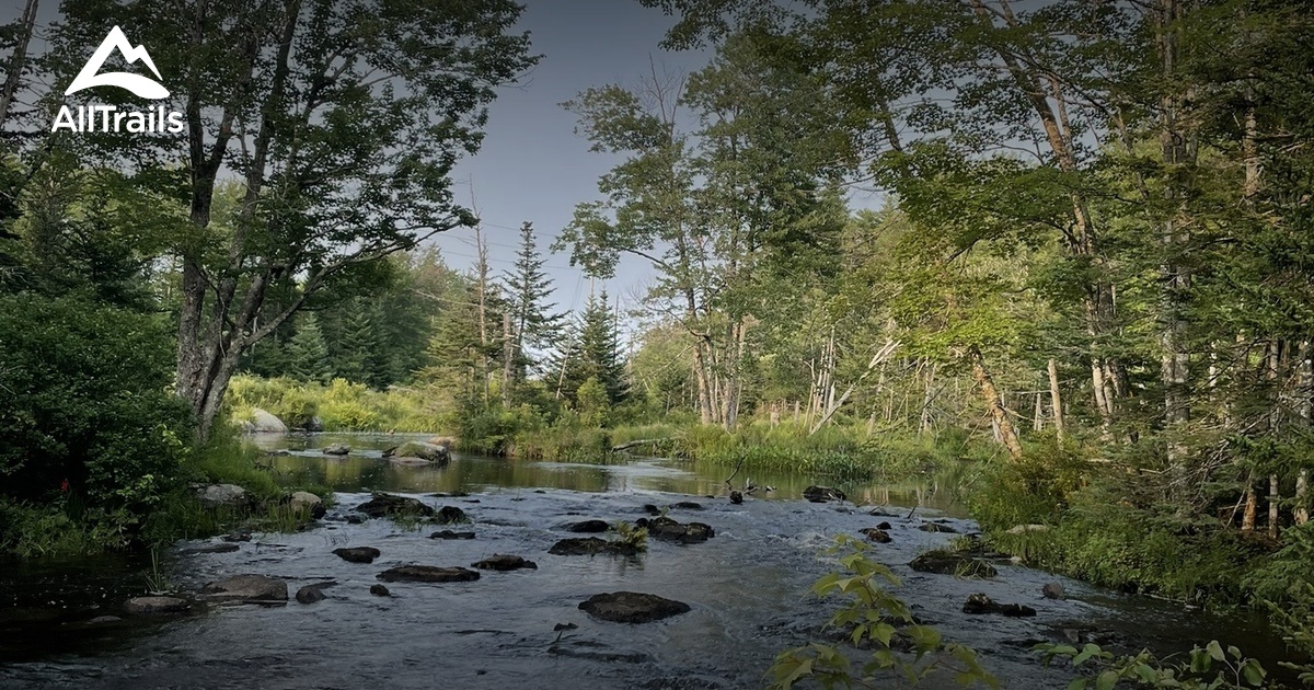 Best hikes and trails in Patten Stream Preserve | AllTrails