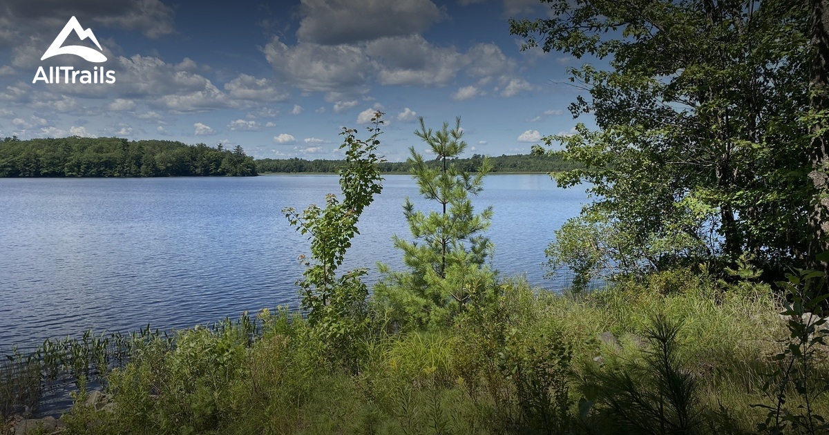 Best hikes and trails in Fields Pond Audubon Center | AllTrails