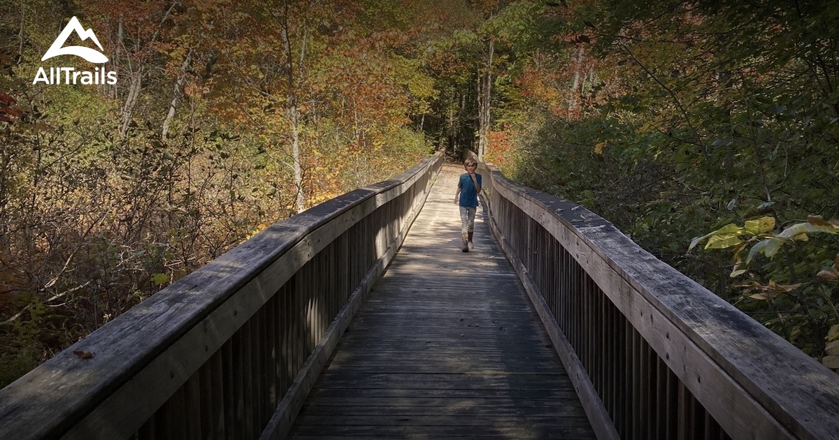 Best hikes and trails in Cox Pinacle | AllTrails