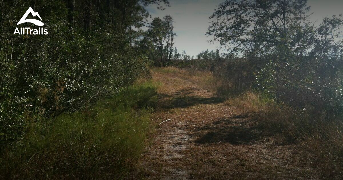 Best hikes and trails in Twelve Mile Swamp Conservation Area | AllTrails