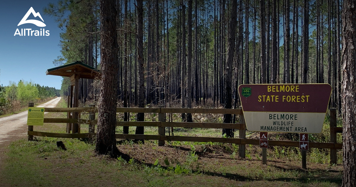 Best hikes and trails in Belmore State Forest | AllTrails