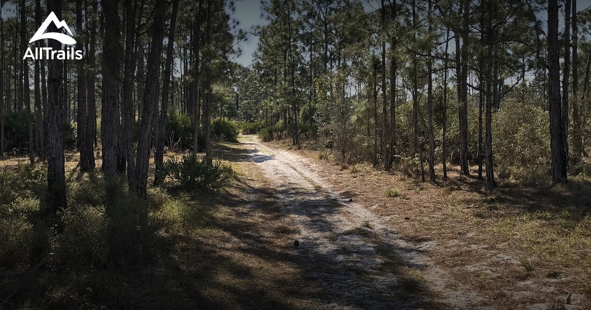 Best hikes and trails in Bluefield Preserve | AllTrails