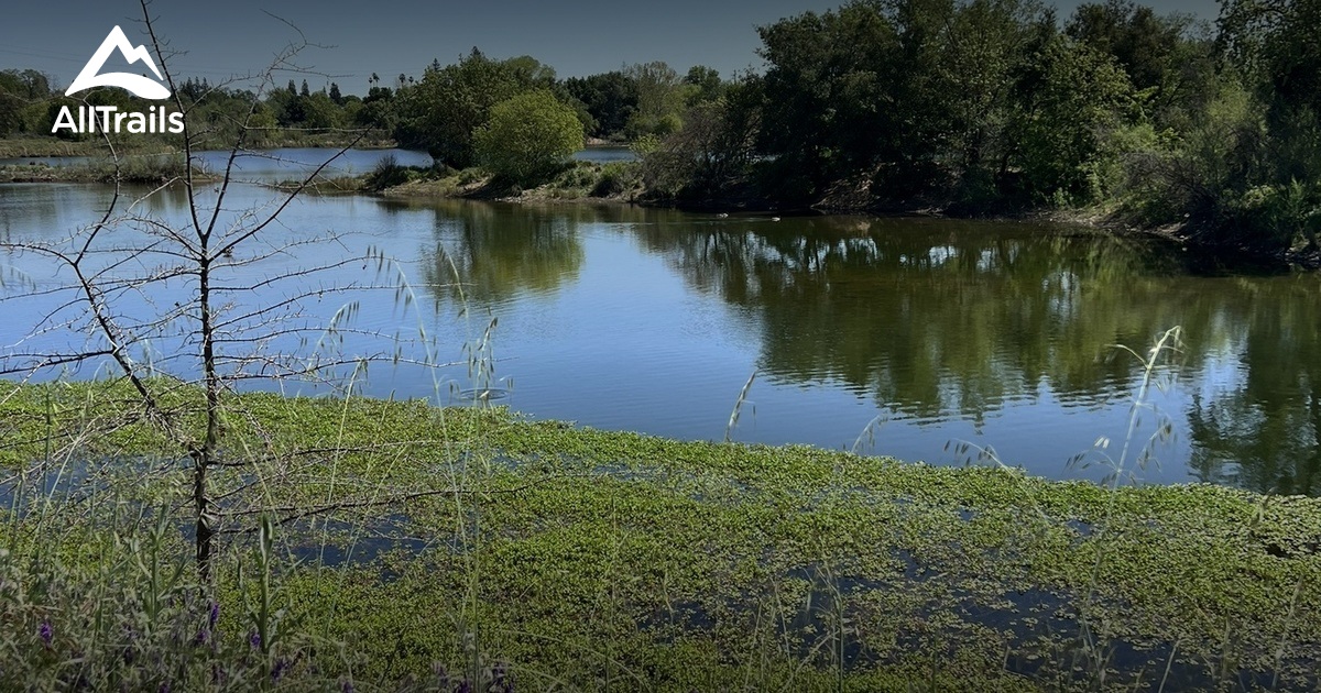 Best hikes and trails in William Pond Recreation Area | AllTrails