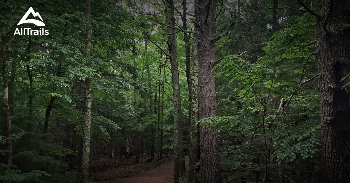 Best hikes and trails in Twin Brook Recreation Area | AllTrails