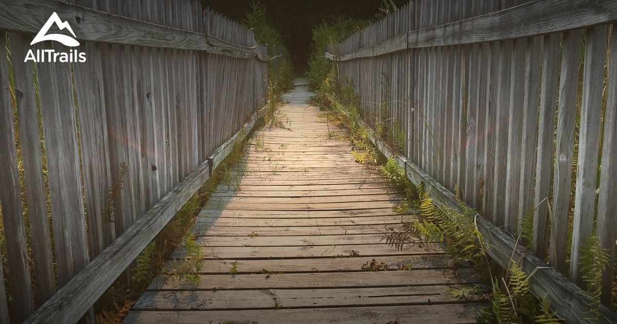 Best hikes and trails in Saul Lake Bog Nature Preserve | AllTrails