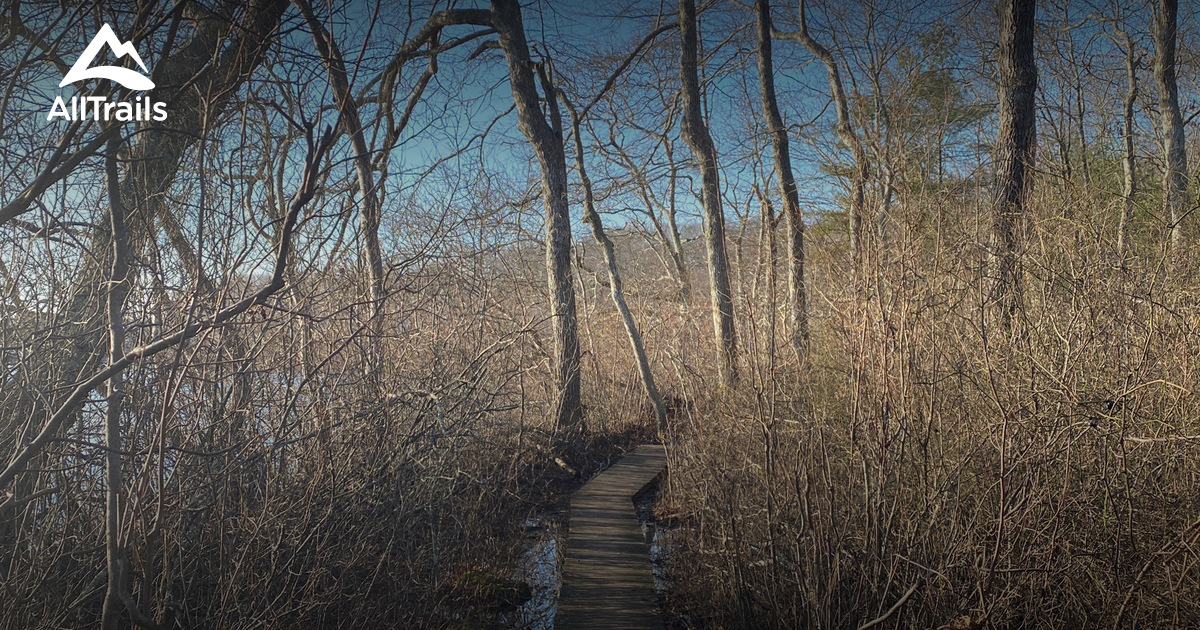 Best easy trails in Big Woods and Wolf Swamp Preserve | AllTrails