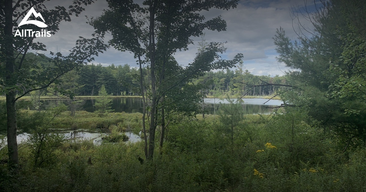 Best hikes and trails in Emmons Pond Bog Preserve | AllTrails