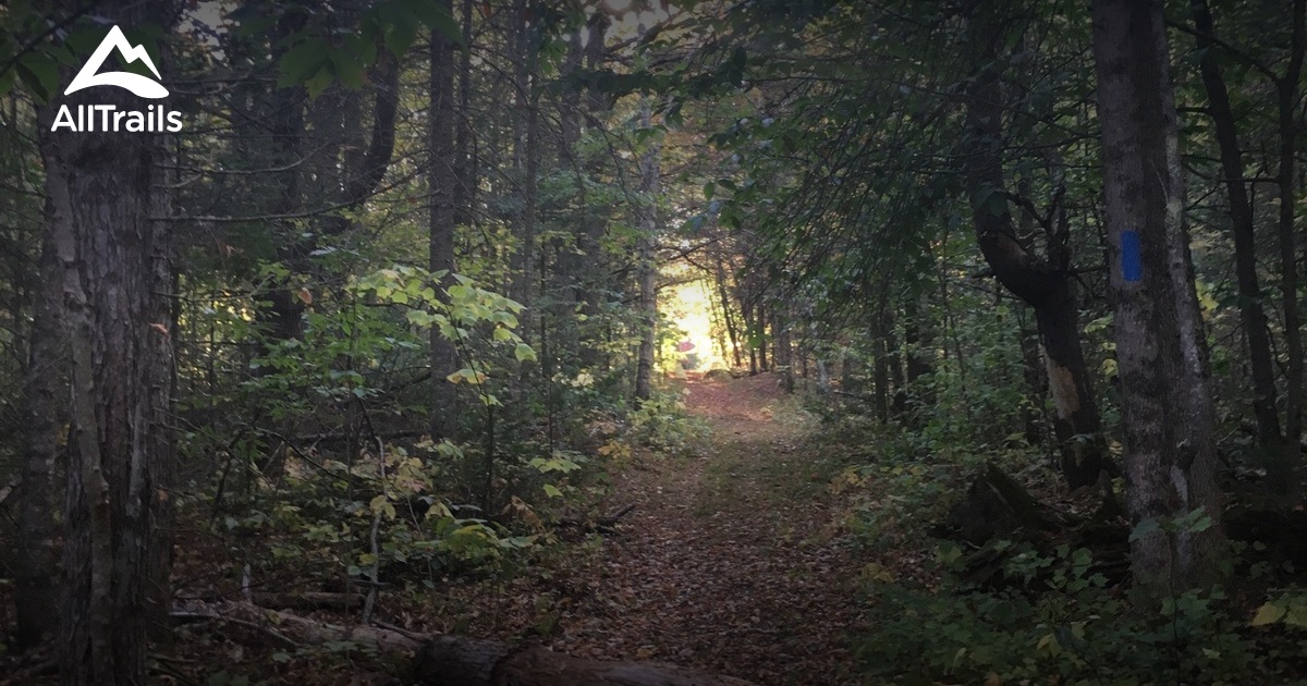 Best dogs on leash trails in Long Cove Headwaters Preserve | AllTrails