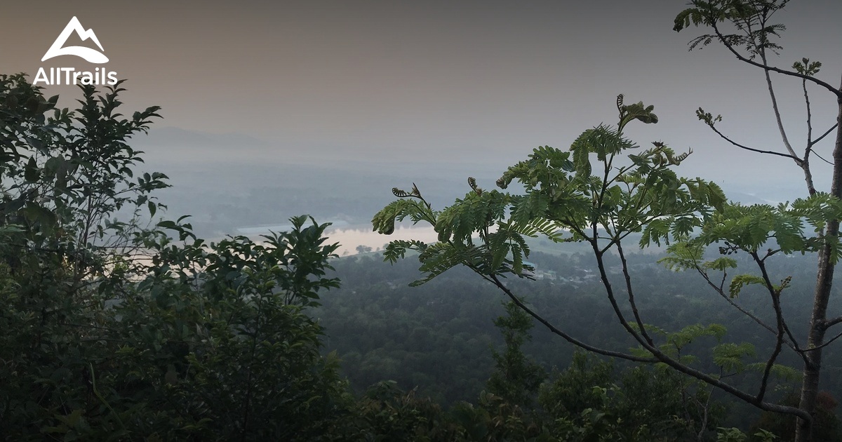 Best hikes and trails in Bukit Panau Recreational Forest | AllTrails