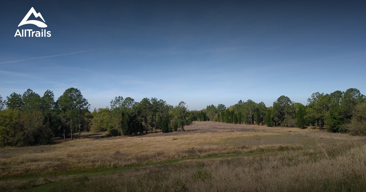 10 Best hikes and trails in Se7en Wetlands Park | AllTrails