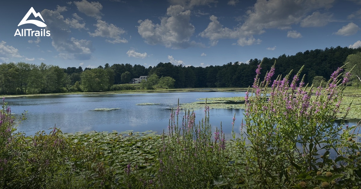 Best hikes and trails in Greenough Land | AllTrails