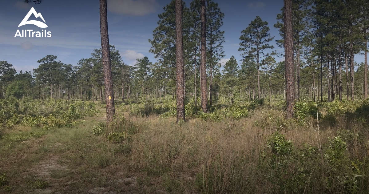 Best hikes and trails in Bell Ridge Longleaf Wildlife and Environmental ...