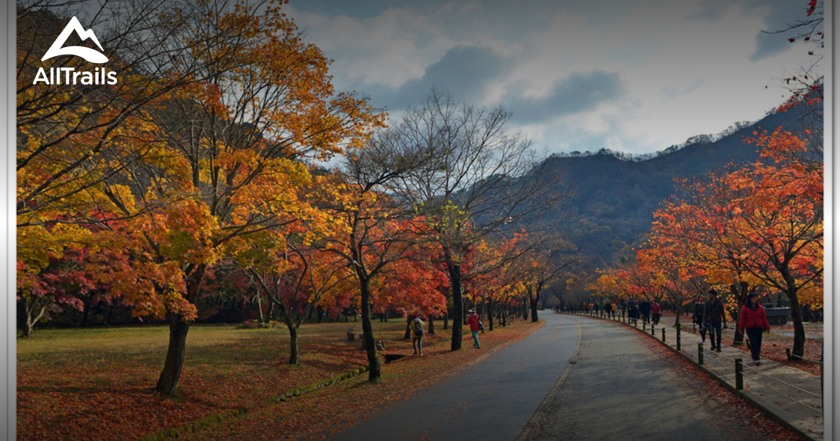 Parc national de Naejangsan : les meilleurs itinéraires pour camper ...