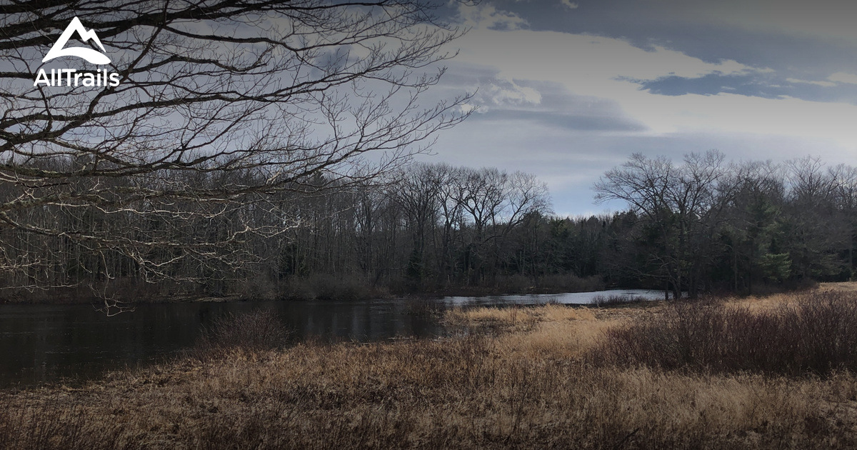 Best hikes and trails in Riverbrook Preserve | AllTrails