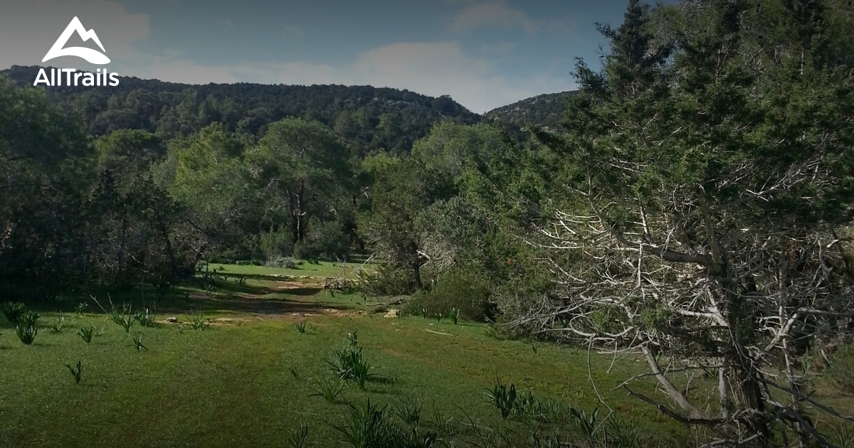 10 Best hikes and trails in Akamas Forest | AllTrails