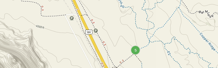 Best Hikes and Trails in Bar M Trail System | AllTrails