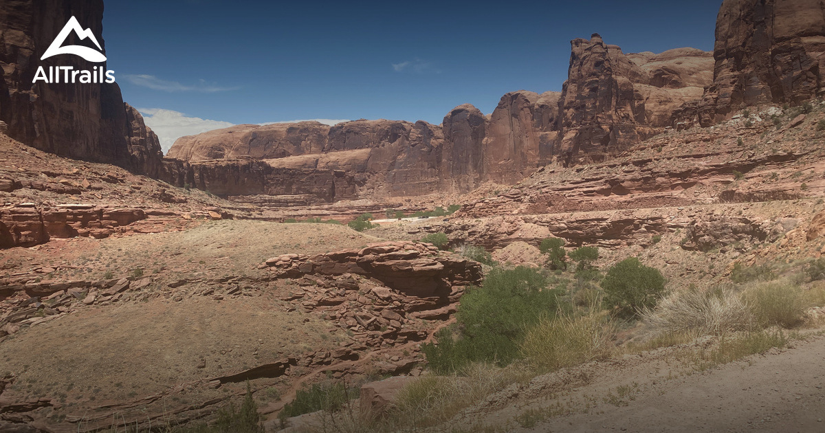 Best hikes and trails in Amasa Back Trail System | AllTrails