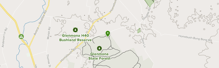 Best Hikes and Trails in Glenmona State Forest | AllTrails