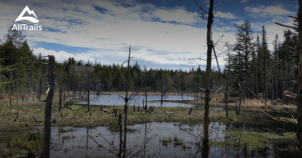 Die Besten Schneeschuhwanderwege in Frances B. Wood Preserve | AllTrails